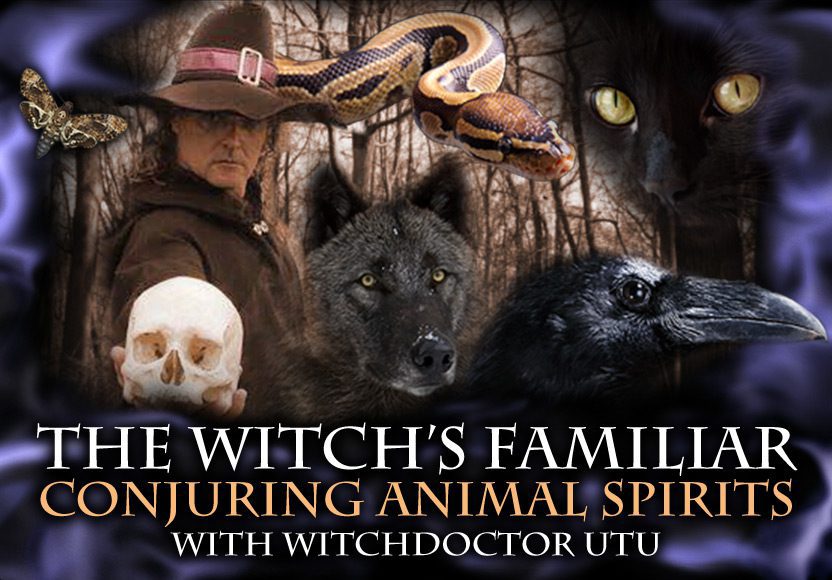 The Witch’s Familiar with Witchdoctor Utu - Salem for All Ages
